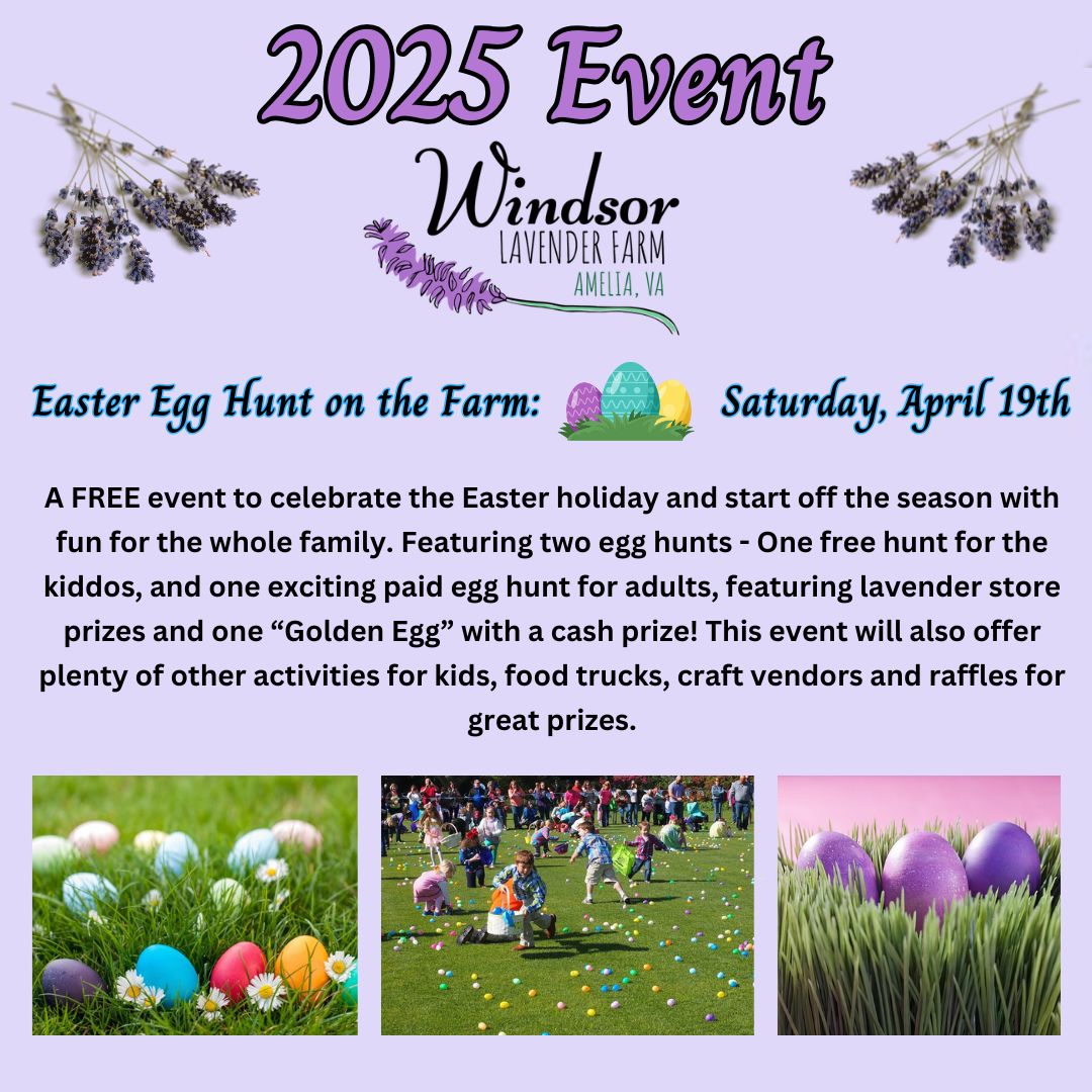 Easter Egg Hunt – Windsor Lavender Farm